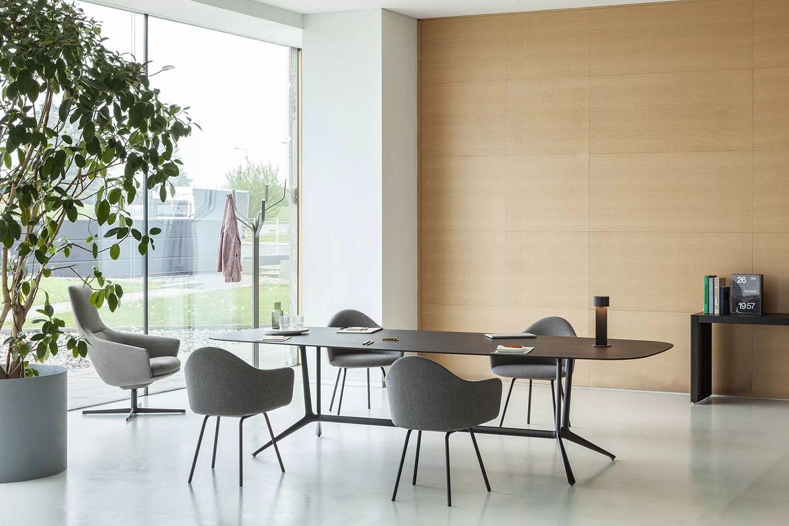 Trail T381 - Lapalma