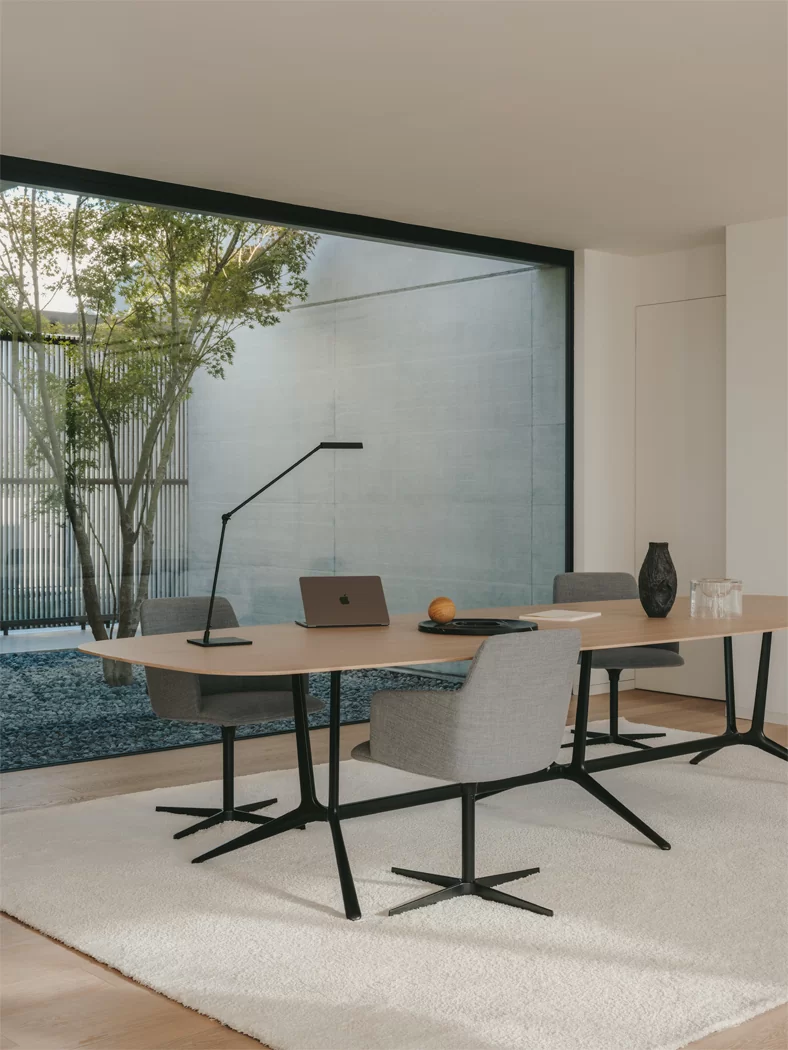 Trail T387 - Lapalma