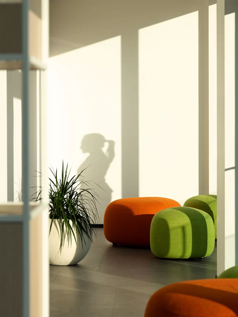 Lapalma - Avvale project