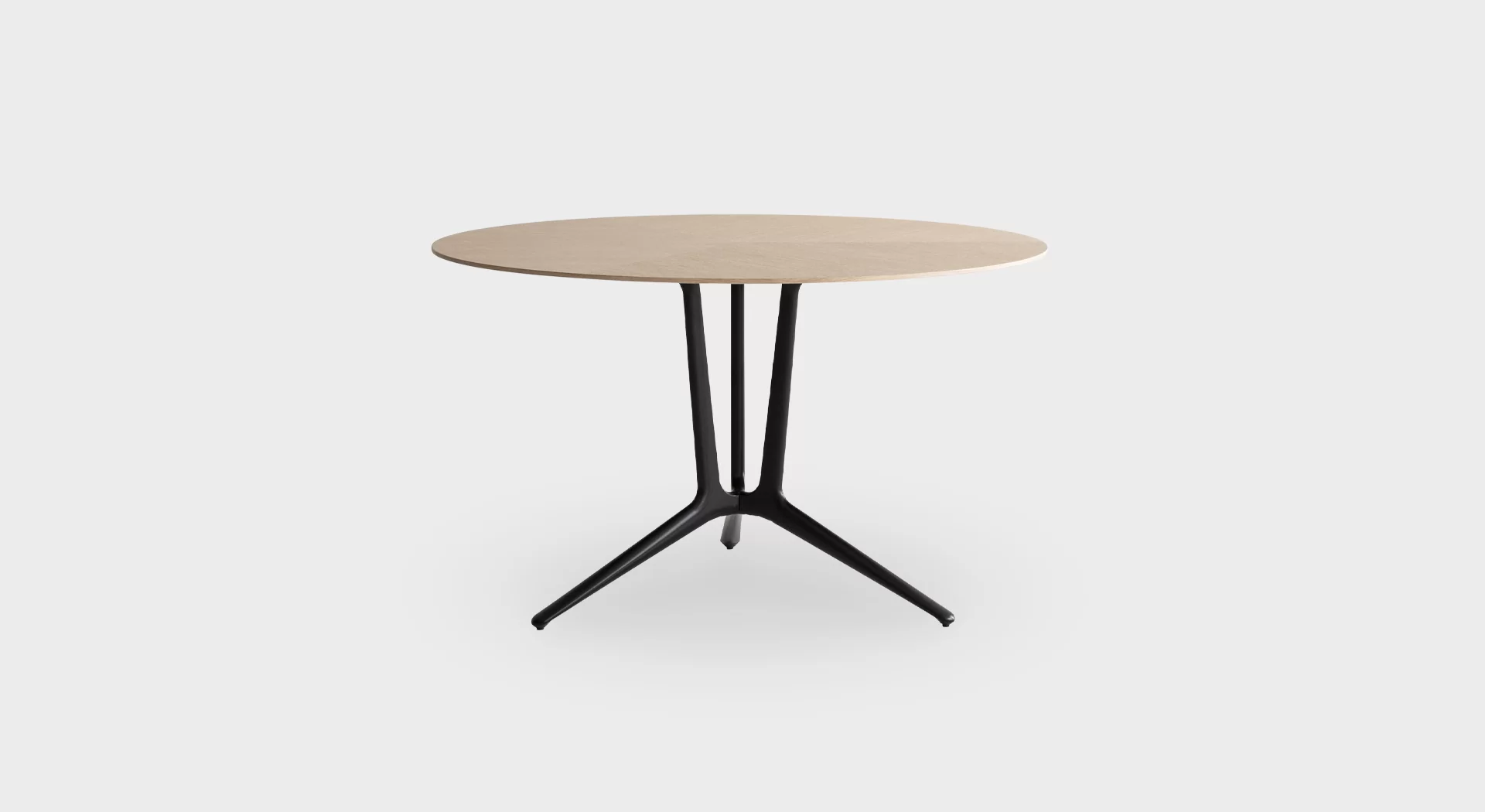 Trail T381 - Lapalma